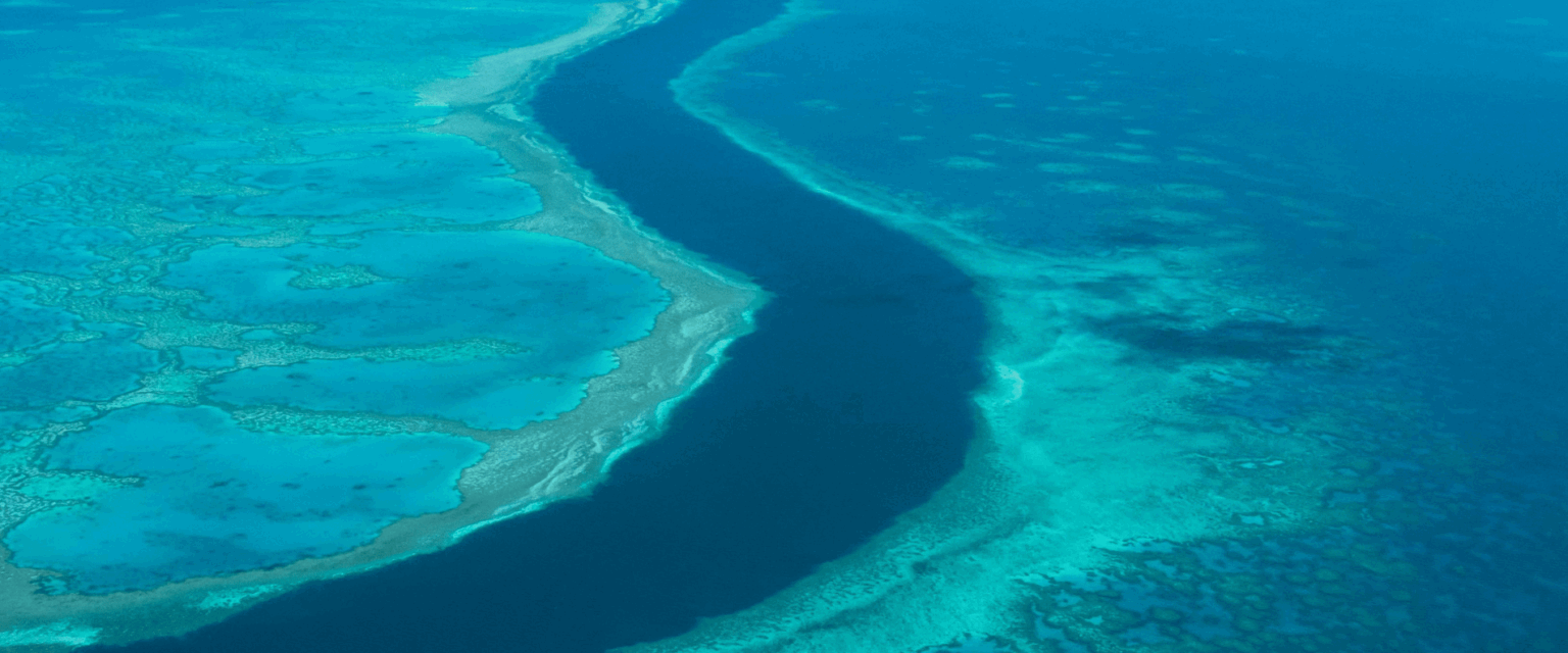 Seeing the Great Barrier Reef From Space